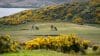 Join the Best Aberdeen Golf Membership | Golf Course Availability ...