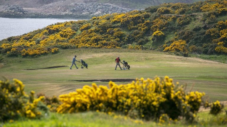 Memberships - Sport Aberdeen